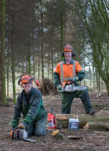 Jaarverslag Alescon – Albert Brunsting